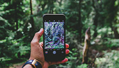 Cursos Online – CDM Elearning